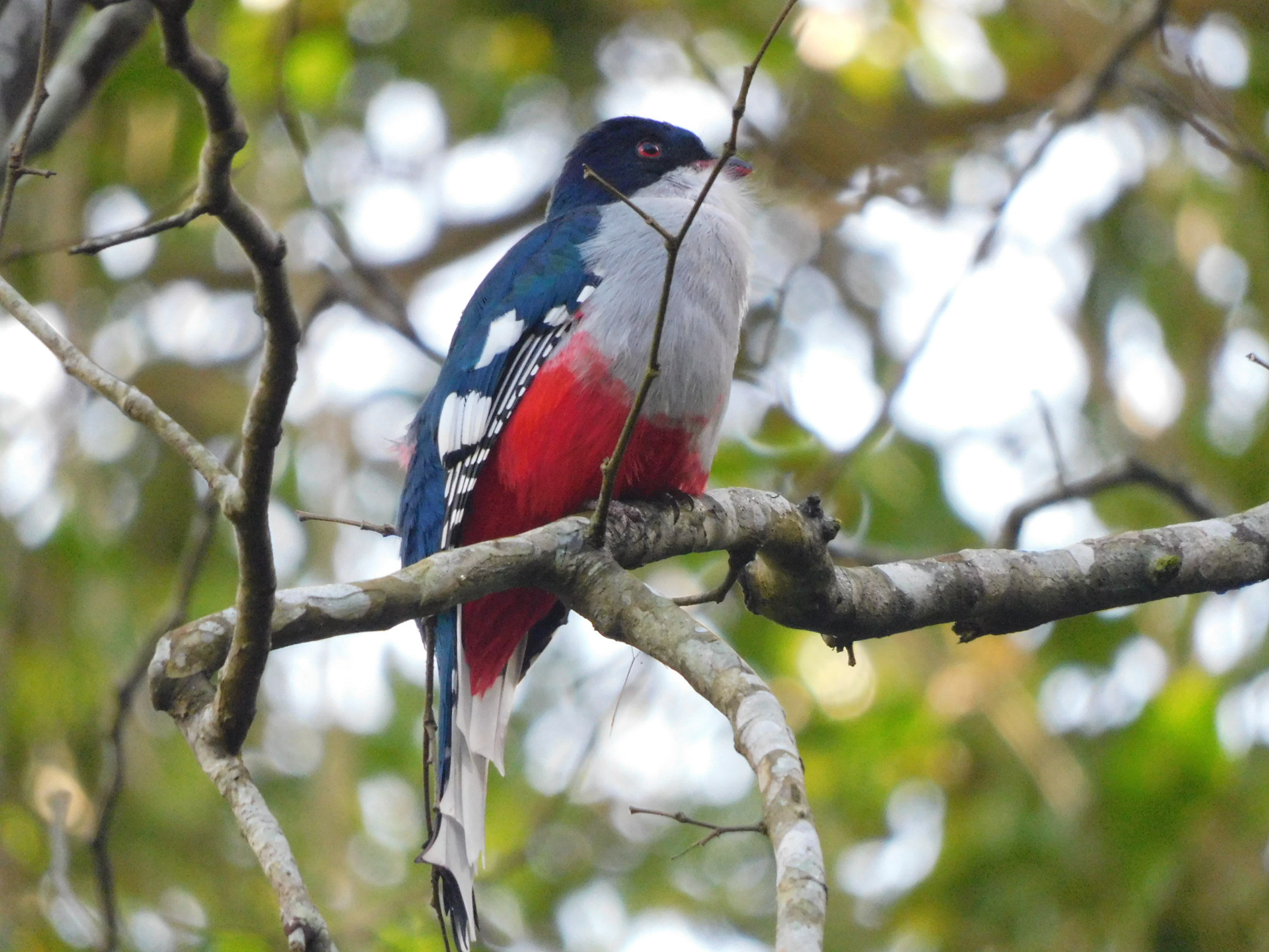 Beginner’s Guide To Birdwatching